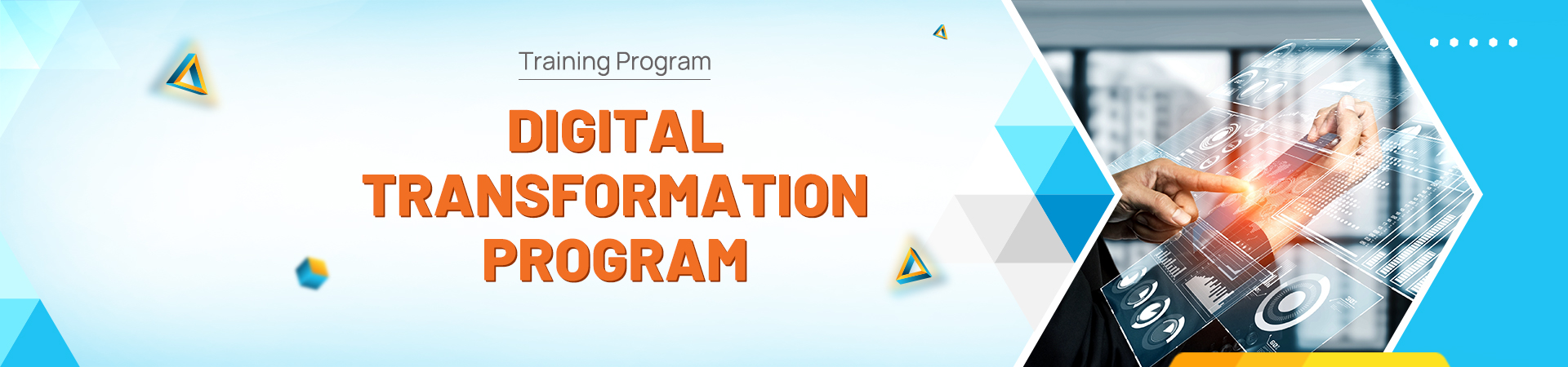 Digital Transformation Program Digital Transformation Program